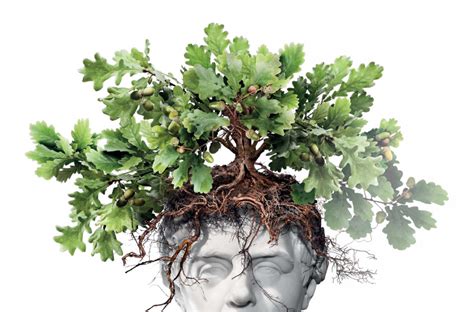 When Development Drives Distinctiveness More Partnership Ltd