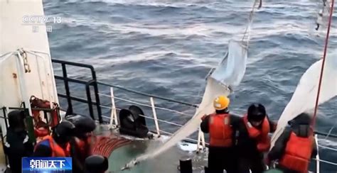 蛋白质含量远超牛肉 小小的南极磷虾潜力巨大？