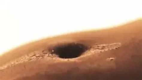 Navel Lick Alien Orgasm Porn Xhamster