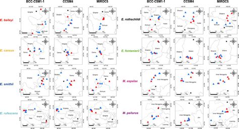Shifts In The Centroids Of Species Distributions Under Future Climate