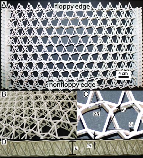 The 3d Printed Structural Lattice A And B Top Down A And Angled Download Scientific