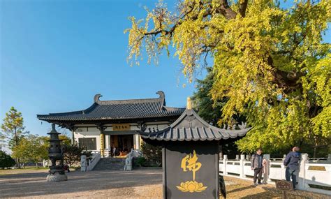 南京古惠济寺 中关村在线摄影论坛