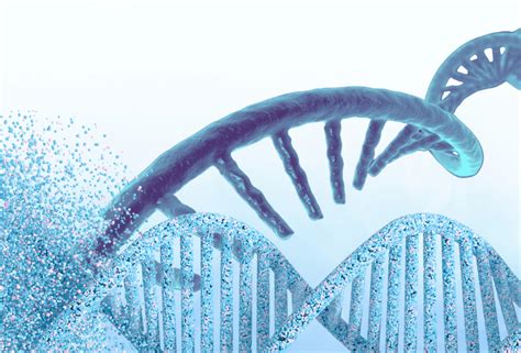 Eqtl Bioinformatics Service Singleron