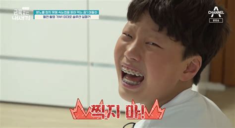 ‘발모광 금쪽이 솔루션 거부→물건 던지며 난동 “찍지 마” 금쪽같은