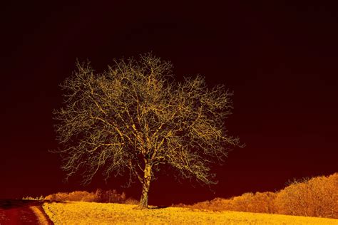 Gas Chromatography Flame Ionization Detector Animation Science Share