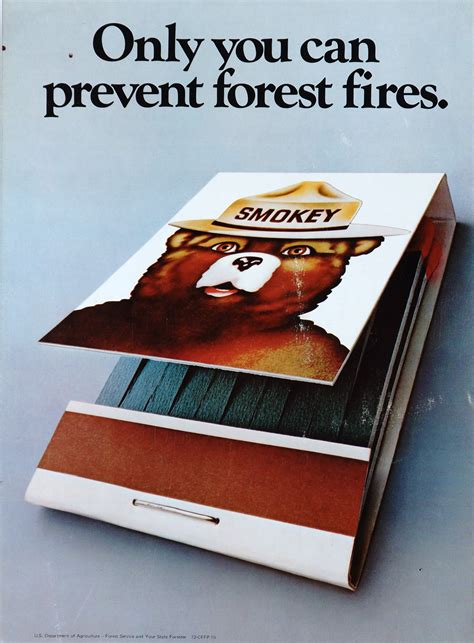 Only You Can Prevent Forest Fires Original Vintage Poster Authentic
