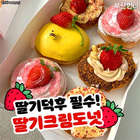 부산언니 딸기덕후들 모여랏~🍓🍓 크리스피 신상도넛 리얼스트로베리 U