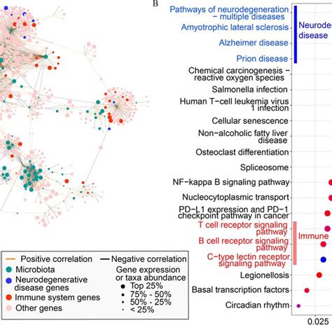 Correlation Analysis Between Gut Microbiota Relative Abundance And