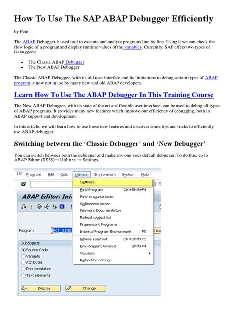 How To Use The Sap Abap Debugger Efficiently Pdf Computer