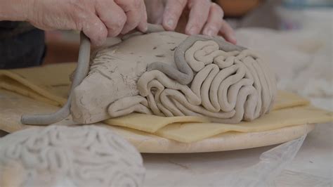 Wobbly Tooth Puberty The Science Behind Six Year Old Brain Development