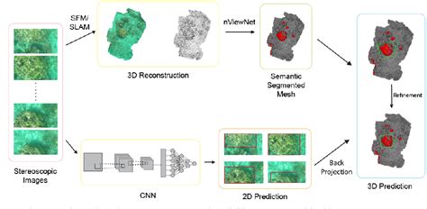 Figure 1 From Object Detection In 3d Coral Ecosystem Maps From Multiple Image Sequences