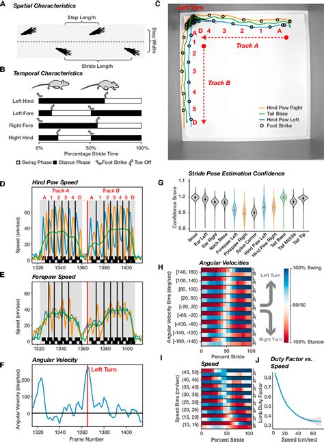 Figure 1 From Stride Level Analysis Of Mouse Open Field Behavior Using Deep Learning Based Pose