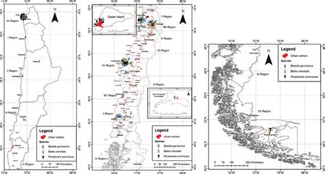 Distribution Map Of The Main Pest Cockroach Species In Chile