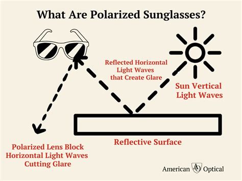 Polarized Vs Non Polarized Sunglasses Which Is Better For You