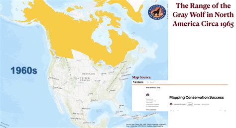 Historic Range Of Gray Wolves