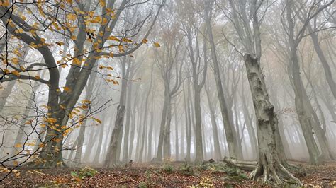 Expert Choices New Joiners Landscapes 696 Landscape Photo Contest Photocrowd Photo