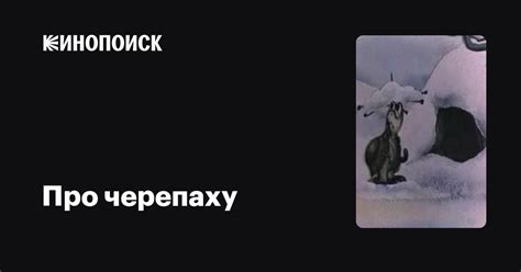 Про черепаху мультфильм 1980 дата выхода трейлеры актеры отзывы описание на Кинопоиске