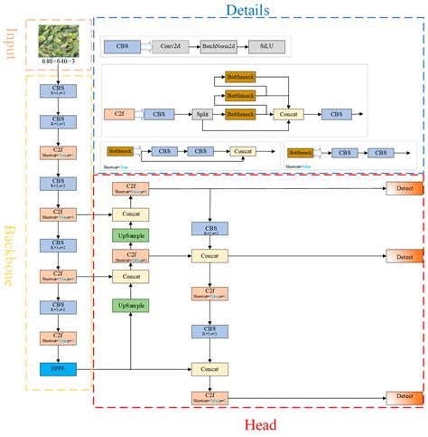 Tbf Yolov8n A Lightweight Tea Bud Detection Model Based On Yolov8n Improvements