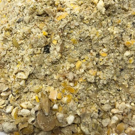 17 Organic Pullet Developer