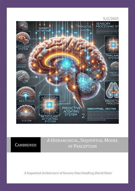 Pdf A Hierarchical Sequential Model Of Perception
