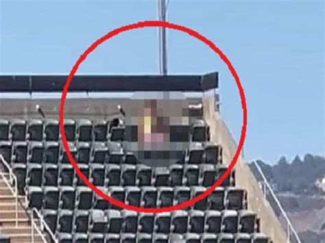 couple intimate inside sports stadium during live match of baseball htgp लइव मच क दरन कपल