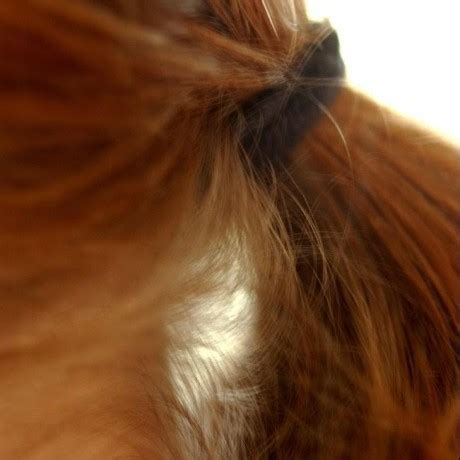 Jon Hannah S Profile Hackaday Io