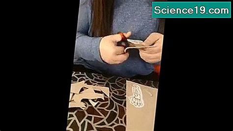 Golgi Aparaat Funktsioon Struktuur Koos Analoogia Ja Diagrammiga 💫