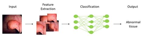 An Example Of Colorectal Cancer Classification Using Ml Download Scientific Diagram