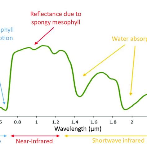 Vegetation Spectral Reflectance Curve Jensen 2015 Download