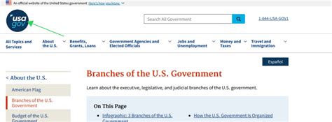 Hiding Elements Before Taking Screenshots