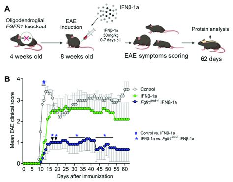 Experimental Design And The Clinical Outcome Of Eae Scores A Download Scientific Diagram