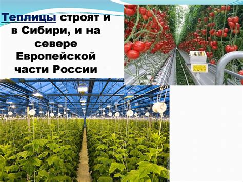 Сельское хозяйство его отрасли презентация онлайн