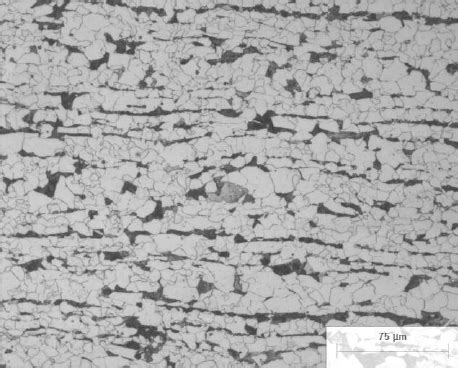 Microstructure Of API 5L X 65 Steel Download Scientific Diagram