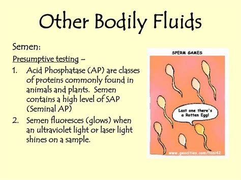 Ppt Serology Powerpoint Presentation Free Download Id6894874