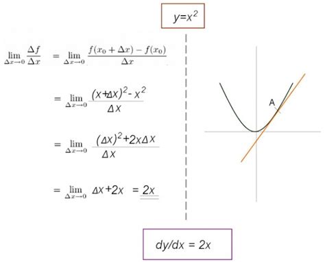 Differential Calculus Functions Graphs Durofy Business