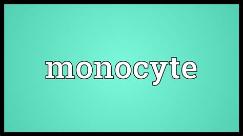 Monocyte Meaning Youtube