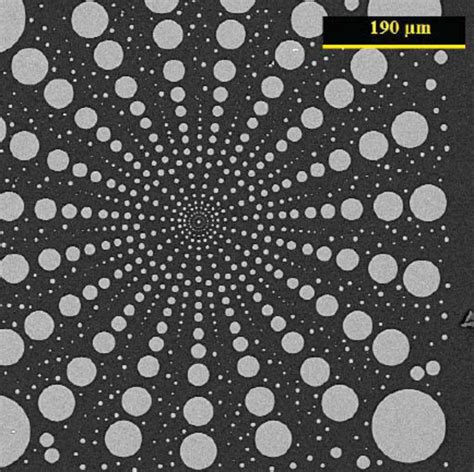 Sem Image Of Calibration Standard With Known Size Distribution And Download Scientific Diagram