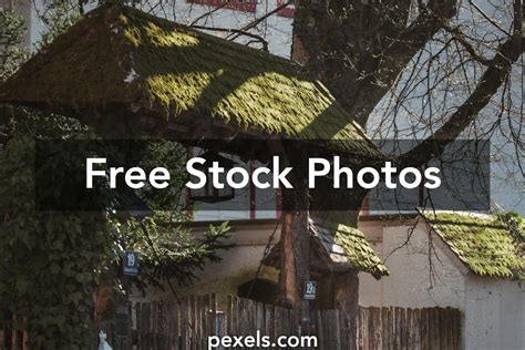 Lebron Tuff Pictures Photos Download The Best Free Lebron Tuff