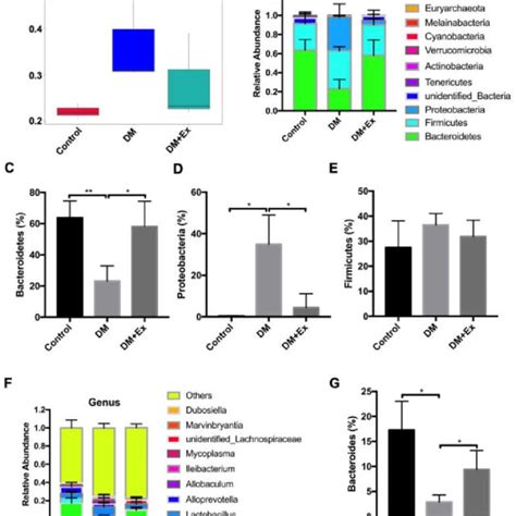 Exercise Intervention Affects Intestinal Flora Distribution In Mice Download Scientific Diagram