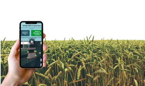 Ai Boundary And Field Detection For 1 Acre Farm Layout