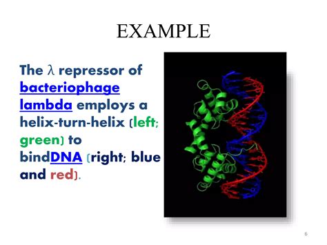 Helix Loop Helix Helix Turn Helix Pptx
