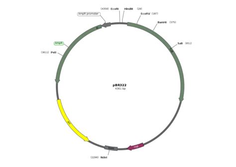 Vector Definition Examples Characteristics Types Applications