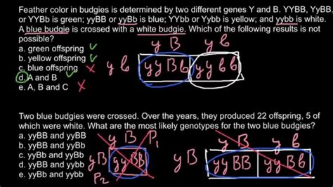 Nikolays Genetics Lessons On Linkedin Advance Examples Of Simple