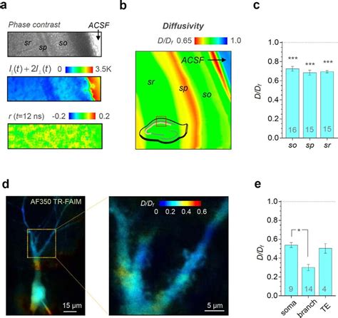 Mapping Extracellular And Intracellular Molecular Mobility In A Download Scientific Diagram