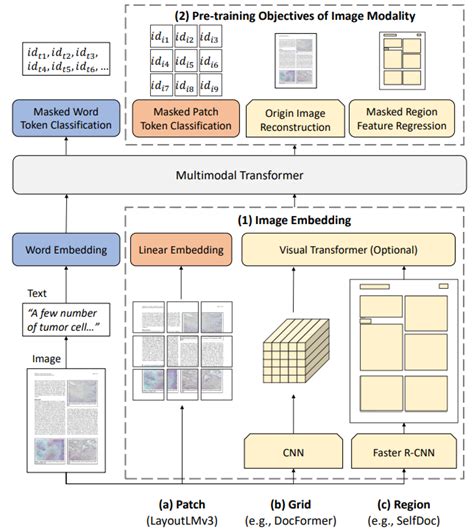 Understanding Covariate Shift And Normalization By Michael Dsouza Medium
