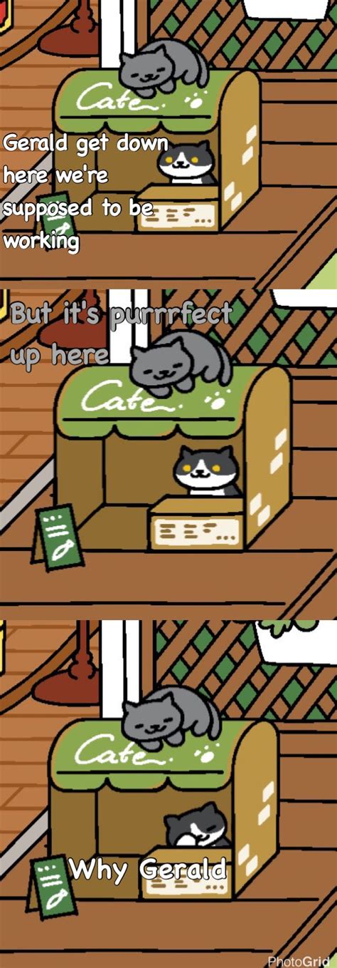Funny Neko Memes