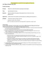 Lab Report Mouse Genetics One Trait Pdf This Assignment Is Worth Of Your Grade And