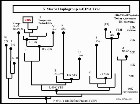 Ina Clan Mtdna Haplogroup B