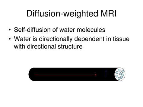 Ppt Diffusion Tensor Imaging Powerpoint Presentation Free Download Id 3096158