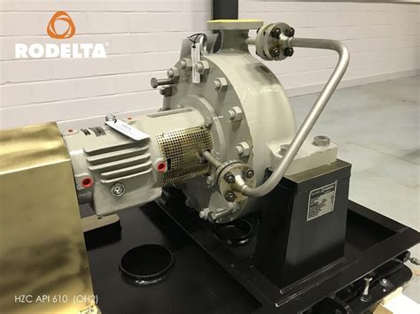 Hzc Oh2 Api 610 Pump Rodelta